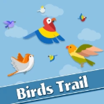 Focus Games - Train Your Attention & Reflexes with Fun Challenges