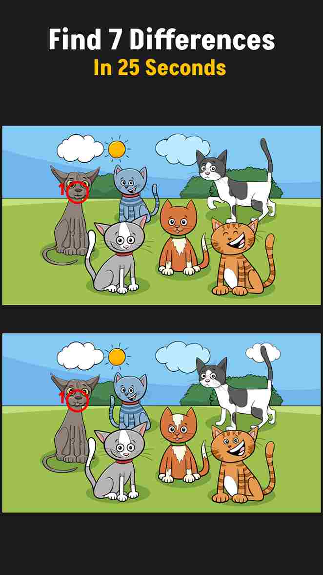 Can You find the 7 Hidden Differences in just 25 seconds? – mindyourlogic.com