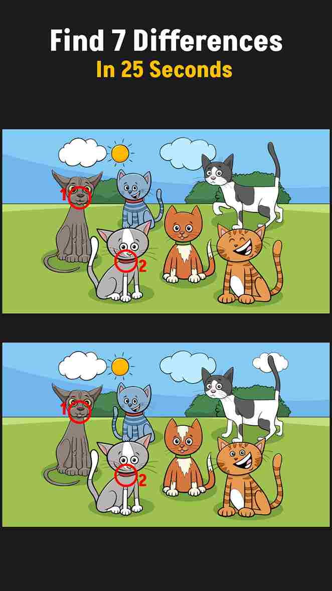 Can You find the 7 Hidden Differences in just 25 seconds ...